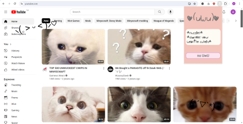 Andrew Wang - Software Developer